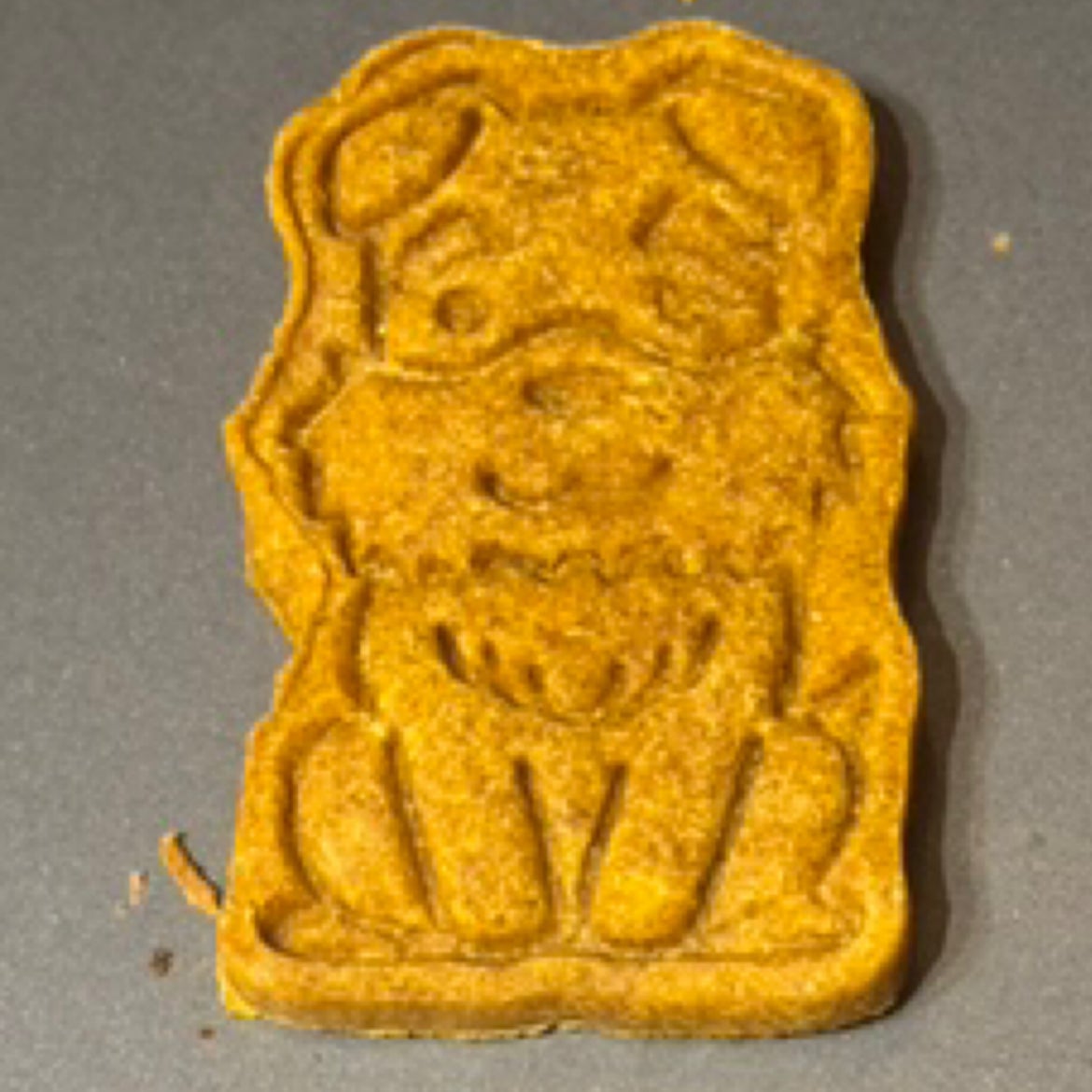 Furry Friends Bakery